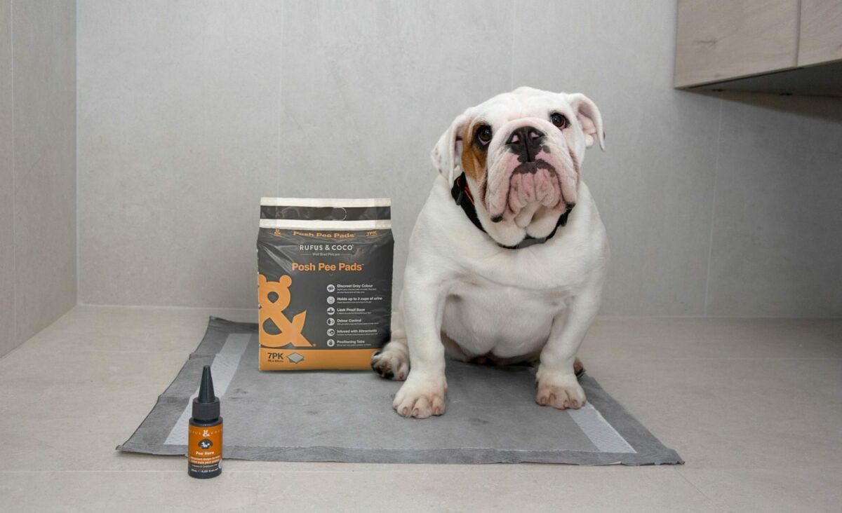 Rufus & Coco [PXA] - The Australian Brand Awards 2019